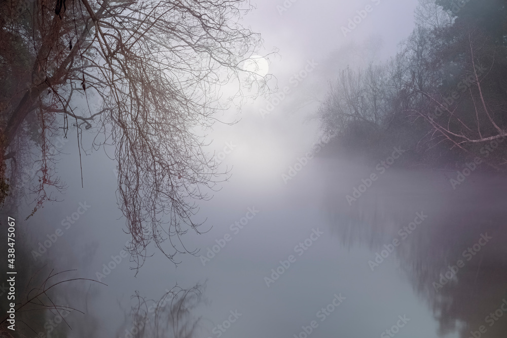 Misty river in a full moon night Stock Photo | Adobe Stock
