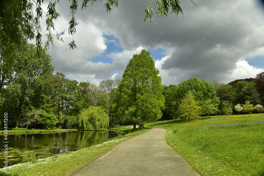 Chemin en asphalte entre l'étang et la pelouse au jardin Jean Sobieski ...