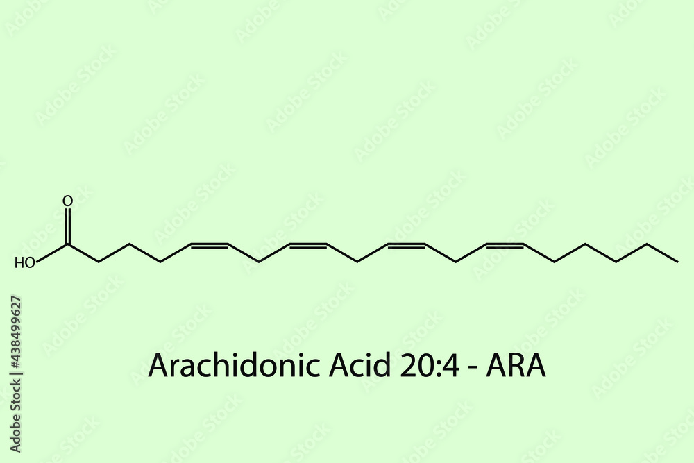 Arachidonic Acid - Omega 6 biomolecule molecular formula. Skeletal ...