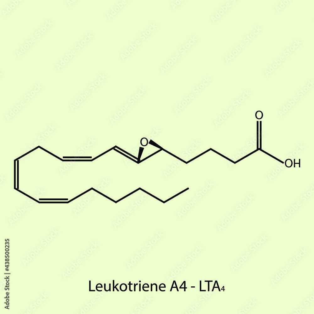 Leukotriene A4 - Leukotriene biomolecule molecular formula. Skeletal ...