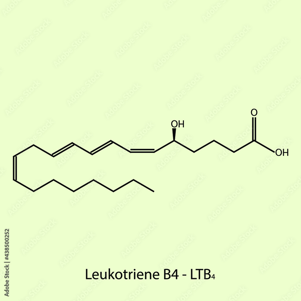 Leukotriene B4 - Leukotriene biomolecule molecular formula. Skeletal ...