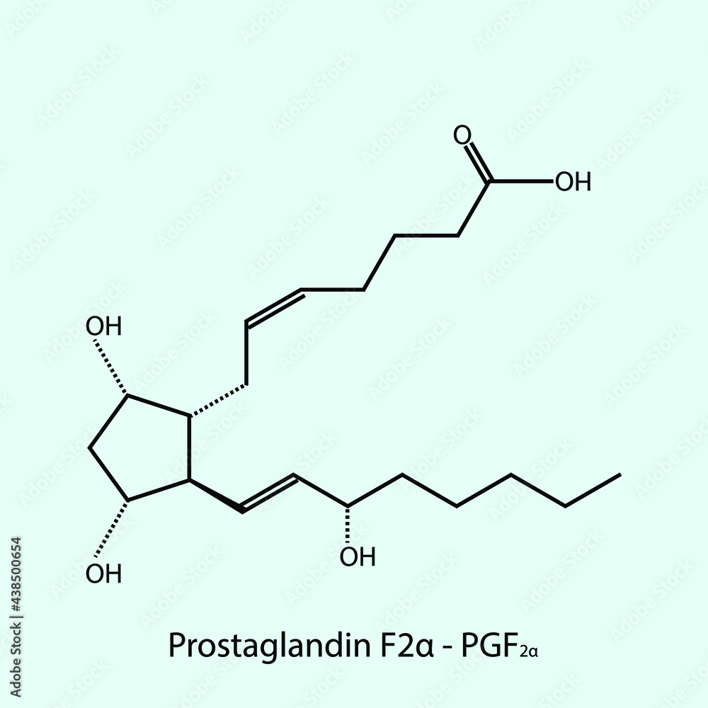 Prostaglandin PGF2a - Prostaglandin biomolecule molecular formula ...