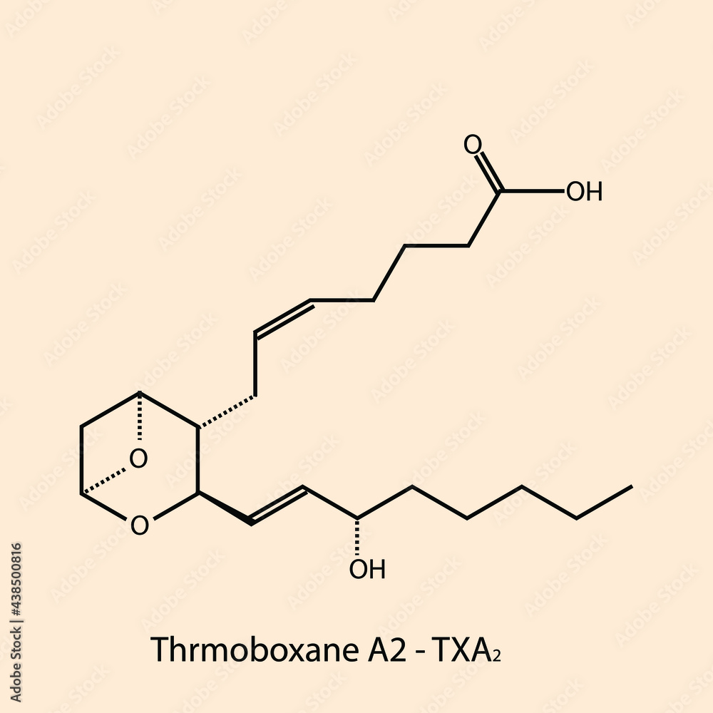 Thromboxane A2 - Thromboxane biomolecule molecular formula. Skeletal ...