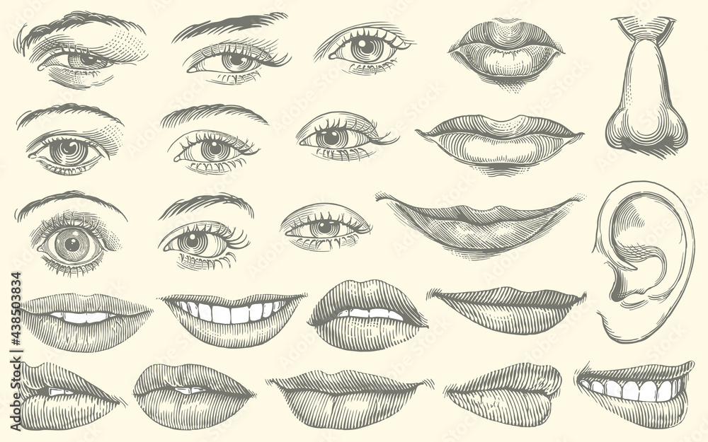 Facial features. Design set. Hand drawn engraving. Editable vector ...