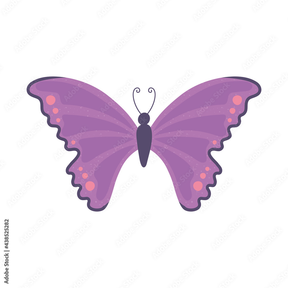 purple butterfly cartoon Stock Vector | Adobe Stock