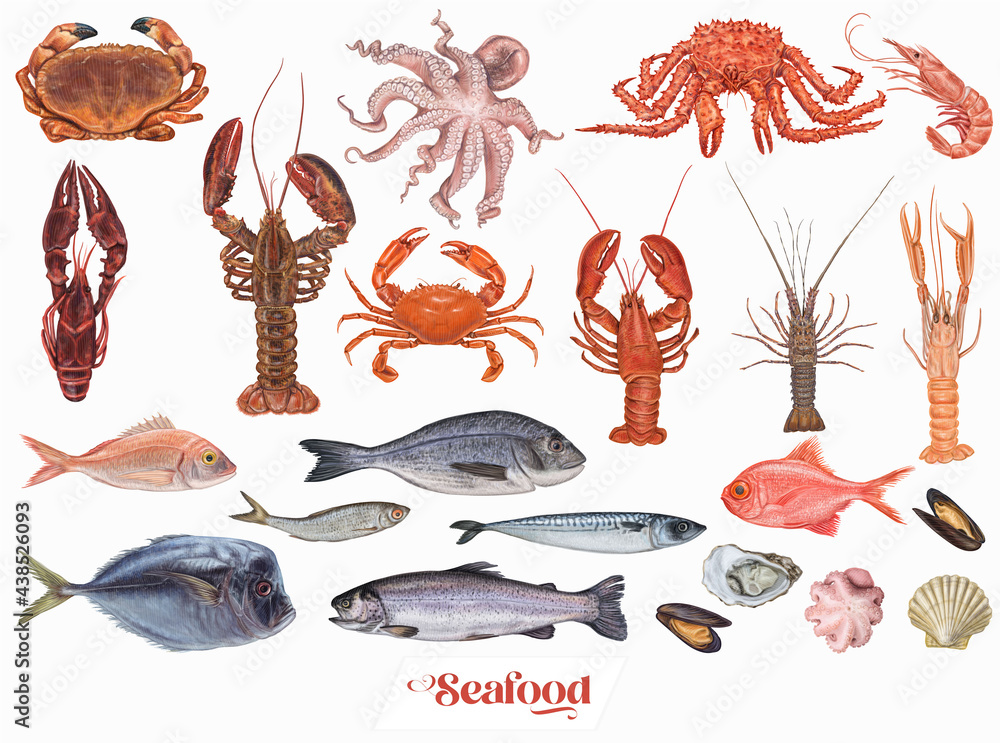 Vector hand drawn set of seafood icons. Lobster, salmon, crab, shrimp ...