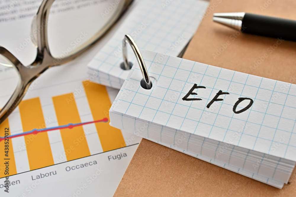 There is a word book with the word of EFO which is an abbreviation for ...