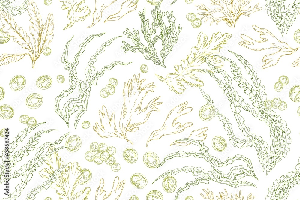 Seamless pattern with contoured seaweeds on white background. Vintage ...