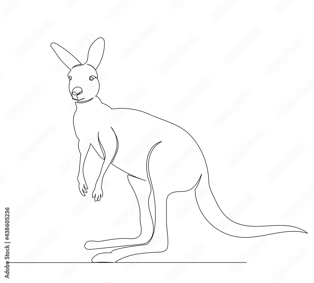 kangaroo drawing one continuous line isolated Stock Vector | Adobe Stock