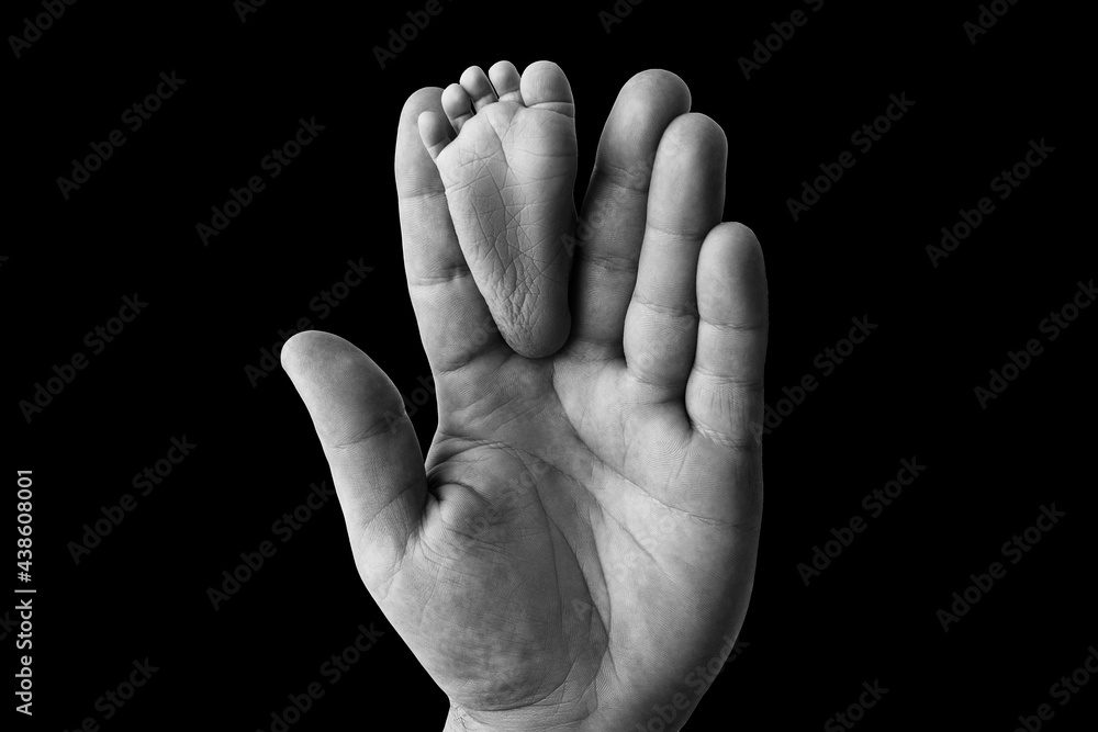 Baby feet in father's hand. The tiny foot of a newborn baby between the ...