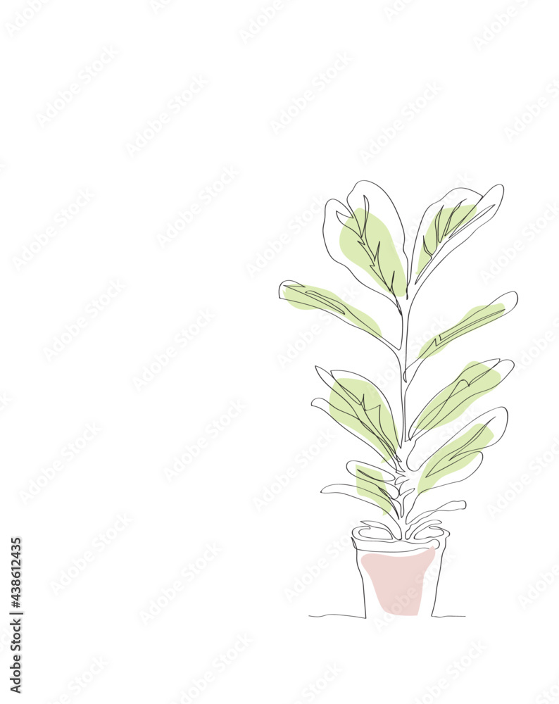 Fiddle Leaf Fig or Ficus Lyrata. Hand draw line art isolated on white ...