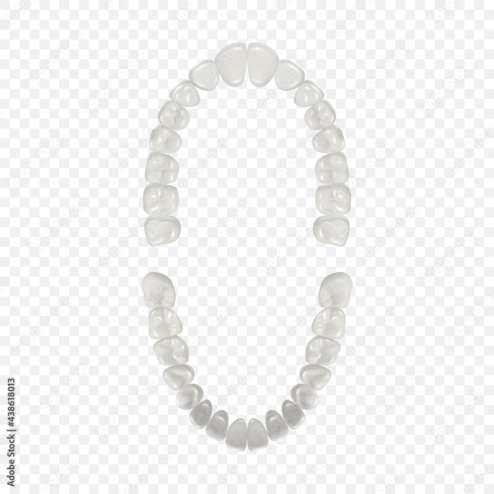 Vector 3d Realistic Teeth, Upper, Lower Adult Jaw, Top View. Anatomy ...
