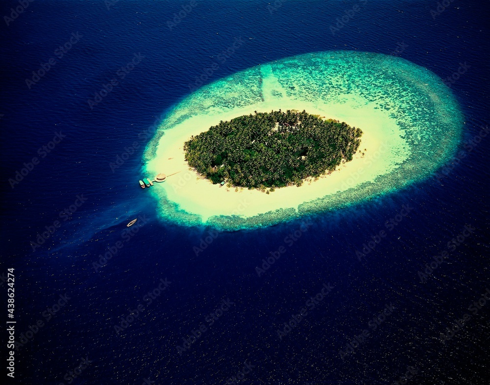 maldives, north male atoll, ihuru island, indian ocean, island, palm ...