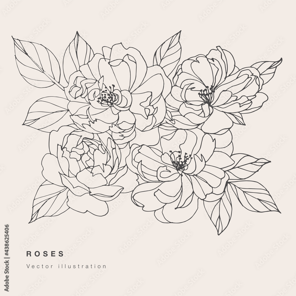 Hand draw vector tea rose flowers illustration. Floral wreath ...