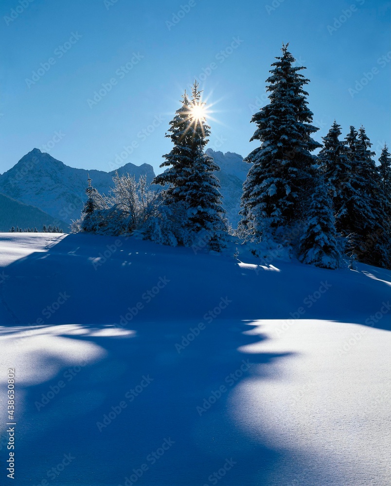germany, werdenfels, winter landscape, karwendelgebirge, slope, edge of ...