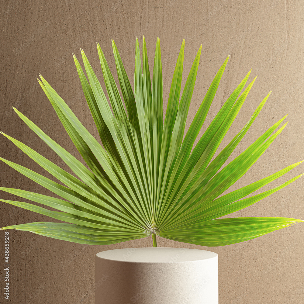 Windmill palm leaf and podium for product presentation background 3d ...