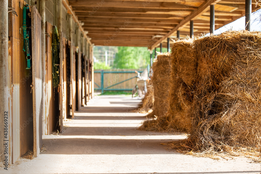 Horse Stables Outside