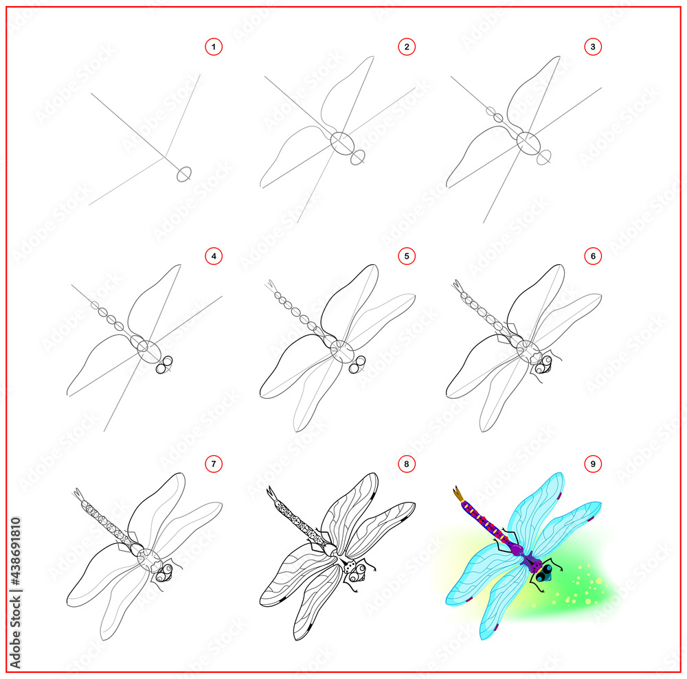How to learn to draw dragonfly. Educational page for children. Creation ...