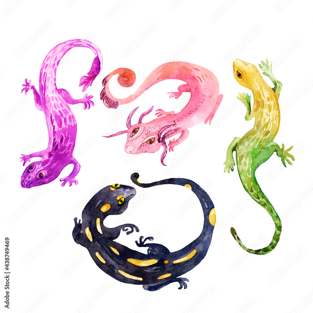 Watercolor illustrations of lizards, reptiles in green, pink, black ...