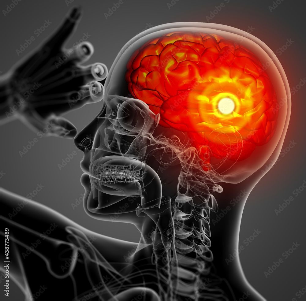 3D medical illustration of the brain Stock Illustration | Adobe Stock