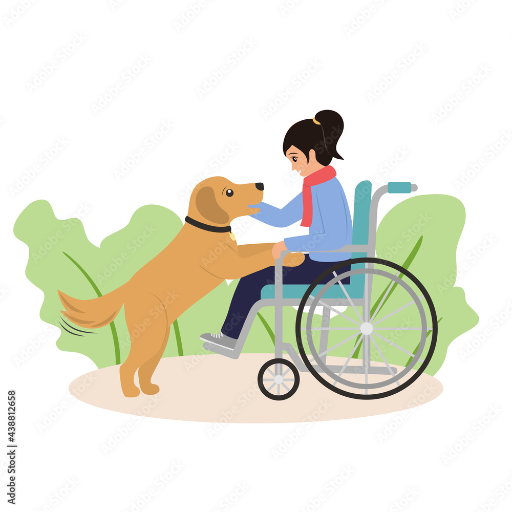 Girl in wheelchair plays witn her dog. Companion dog supports disabled ...
