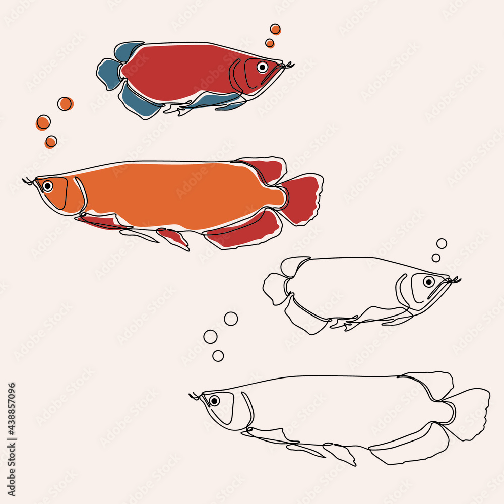 minimalist line art style cute asian redtail catfish illustration and ...