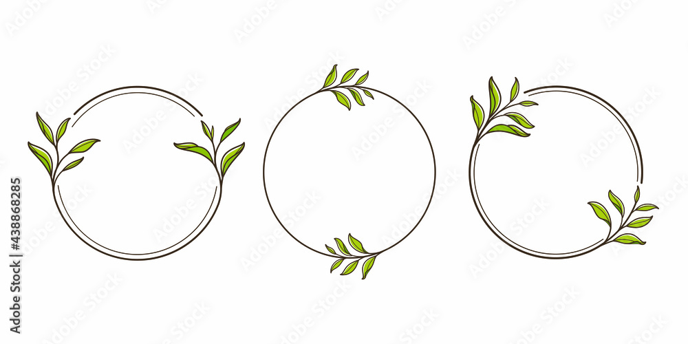 Round botanical frame element with green tea. Simple contour vector ...