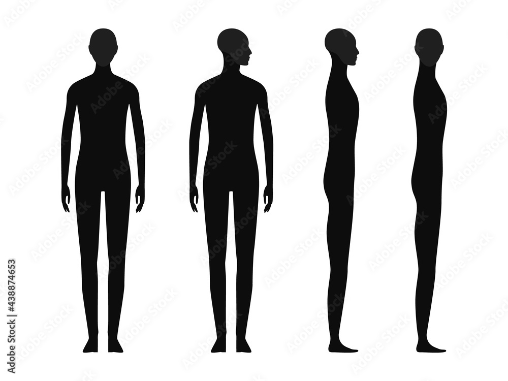 Human body silhouette of a gender neutral person with a highlighted ...