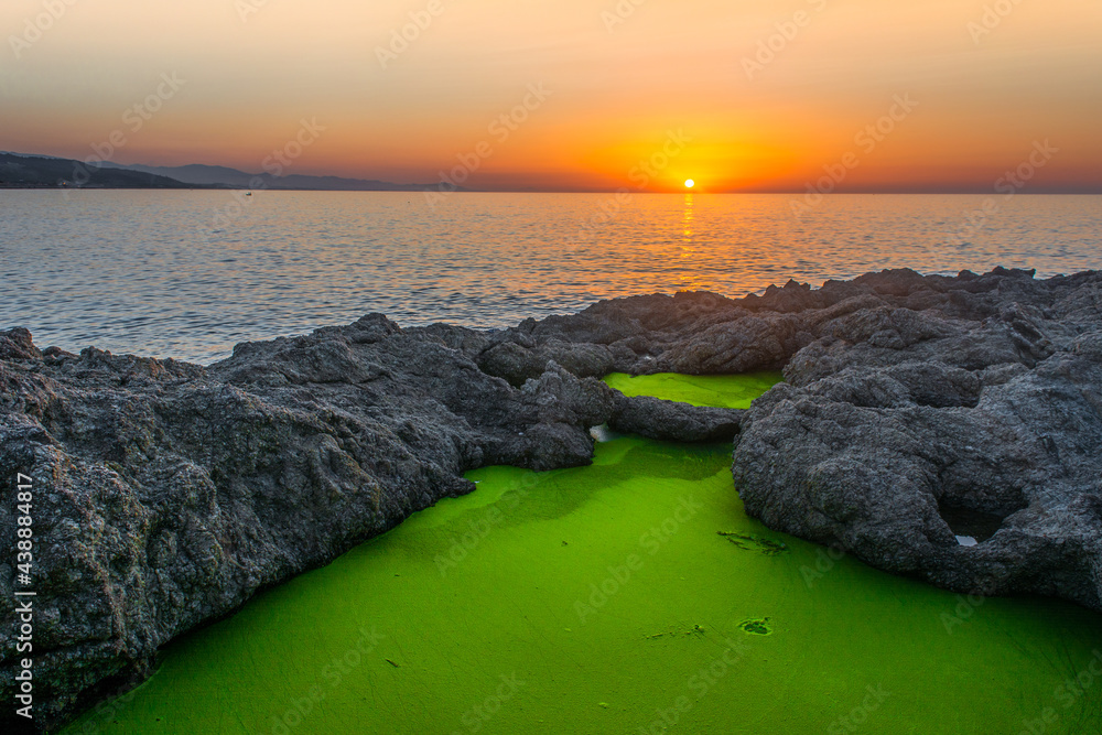 Green algae covered rocks in a pond on a rocky beach, background and ...