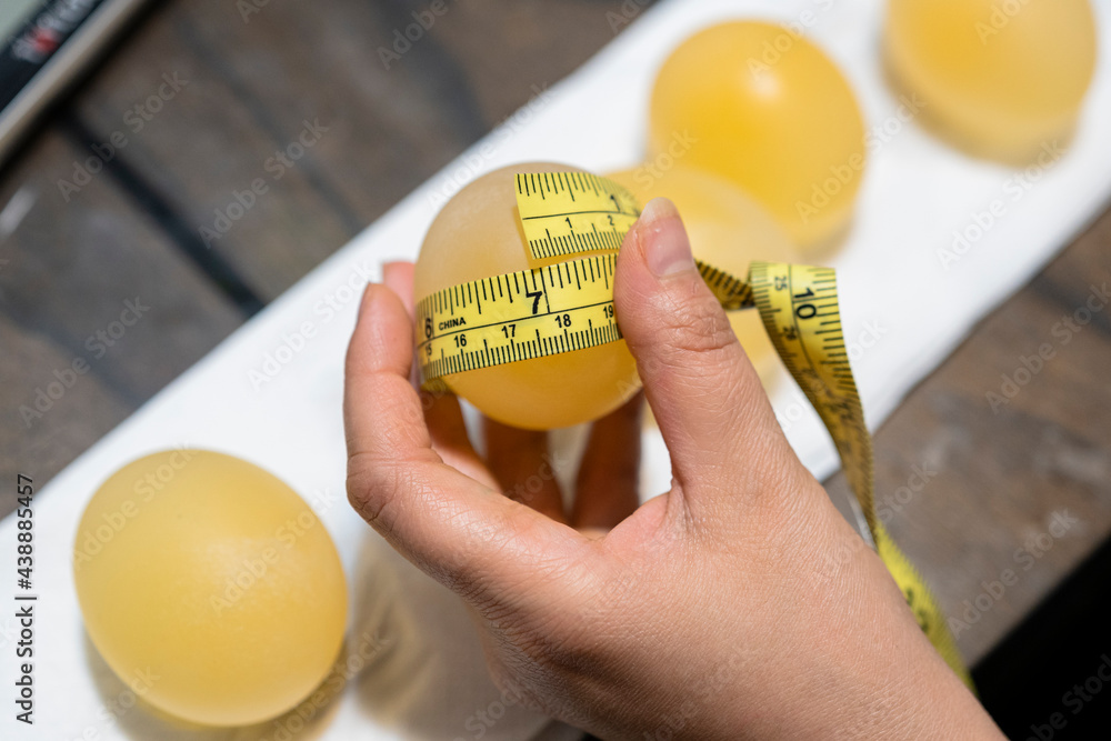 Egg Reverse Osmosis Lab Experiment with a student measuring the size of ...