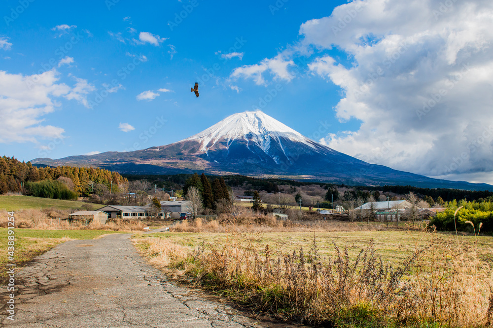 In winter, Mount Fuji appears all white and magnificent. It is 3,775 ...