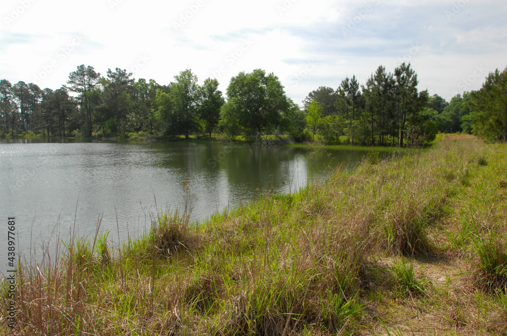 A pond with a natural shoreline of native grass and trees provides a ...
