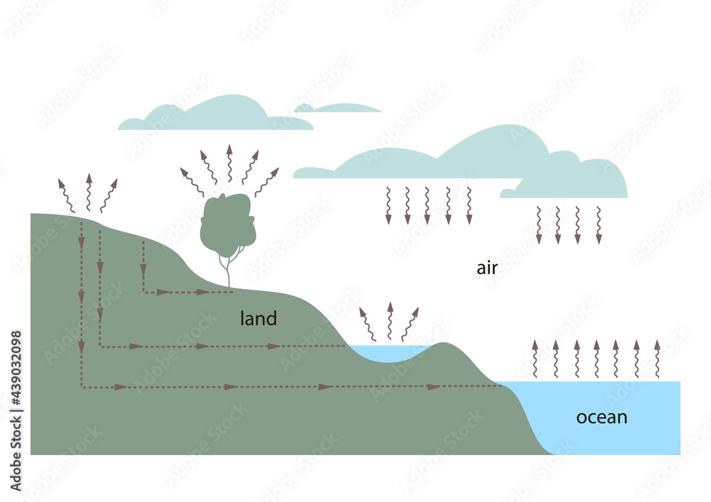 Hydrology diagram showing precipitation, groundwater and water ...