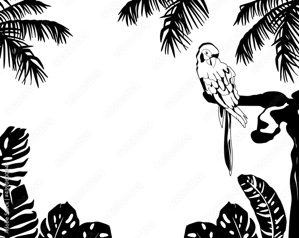tropics frame vector silhouette. parrot and tropical leaves vector hand ...