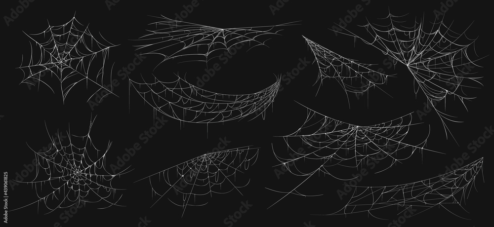 Realistic spider web. Scary cobwebs. Isolated insect nets. Halloween ...