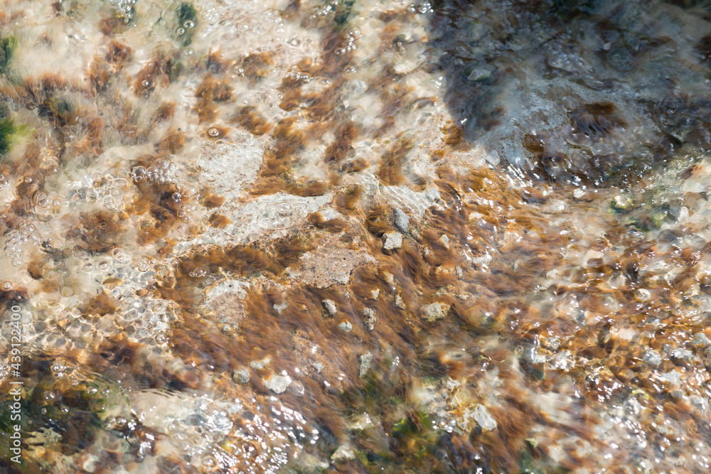 flat stone boulder submerged in water and covered with new and old ...