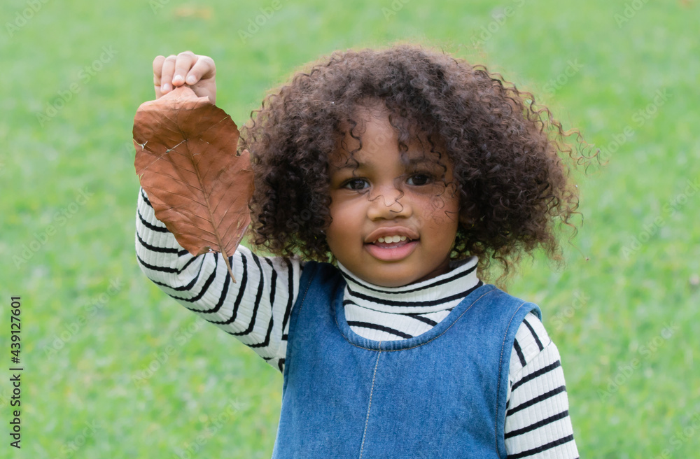 Adorable Afro mix race girl show dry leave to camera in park, toddler ...