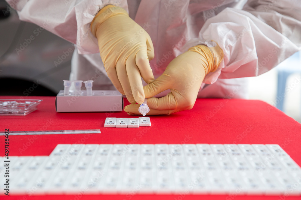 Medical officer dips a swab test sample to do RTK-Ag test for Covid-19 ...
