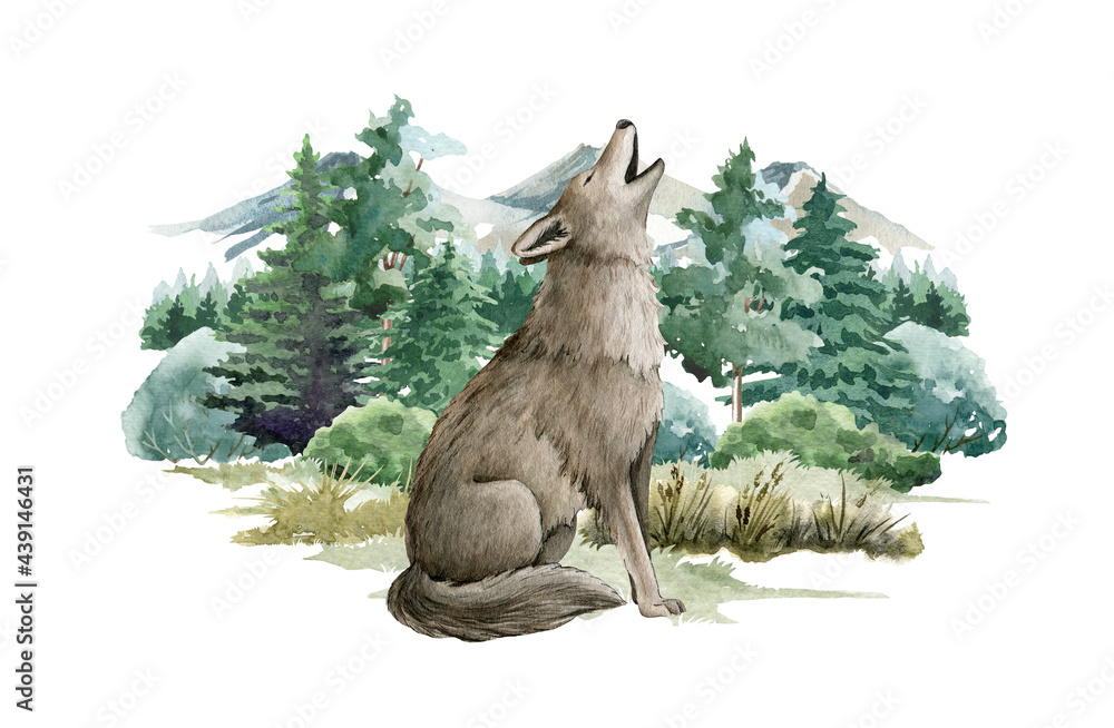 Wolf Side View Drawing