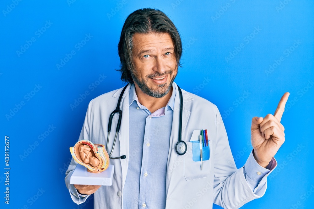 Middle age handsome gynecologist man holding anatomical model of female ...