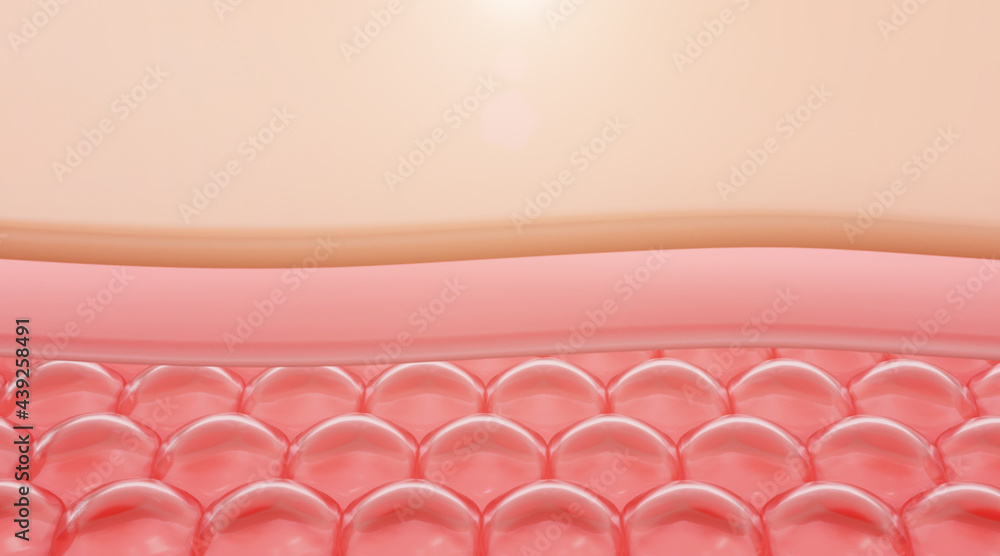 3d skin cell microscope, saggy skin of the skin cell, skin layer up. 3d ...