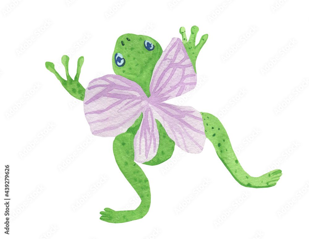 Watercolor cute green fairy frog with wings isolated background ...