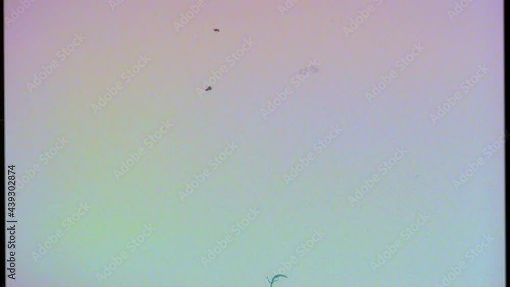 Color Shift VHS Defects, Artifacts, Noise, Film dust, and Hair ...