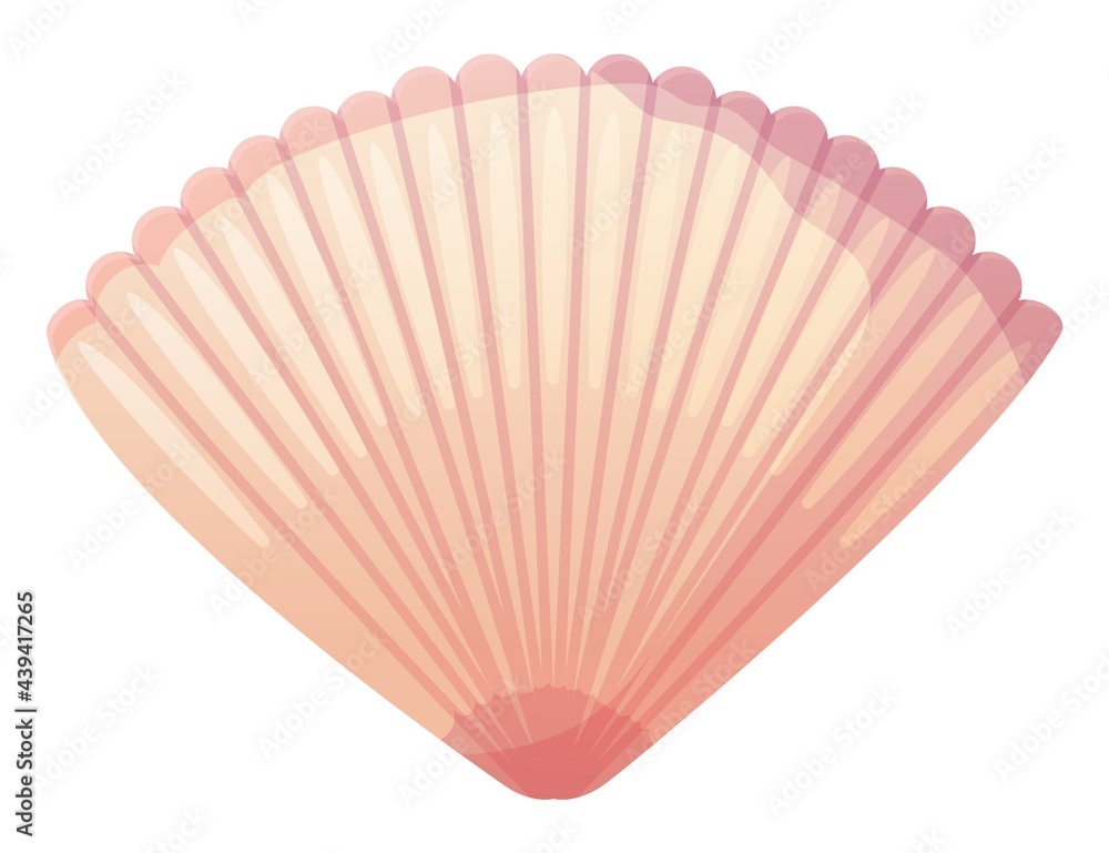 Pink scallop seashell. Beach clipart,ocean element concept. Stock ...