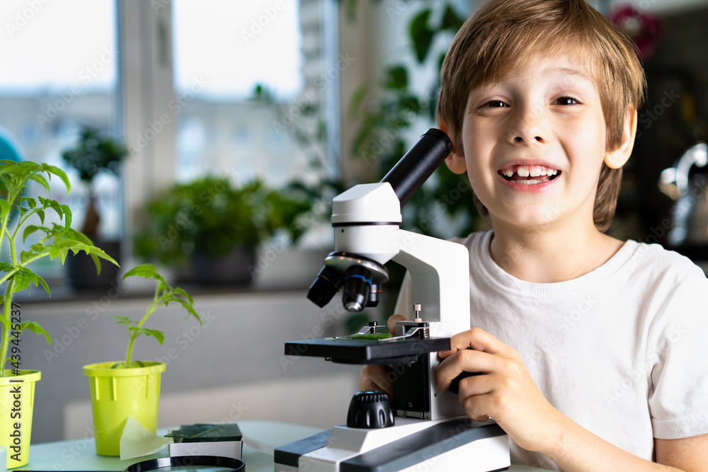 Little boy studies plants under a microscope, emotions of joy and smile ...