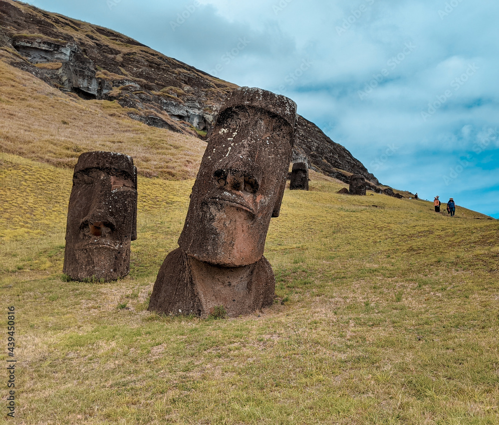 Easter Island's Moai site many stone heads sticking out from the ground ...