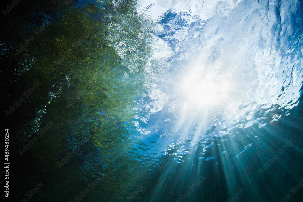 Freshwater Underwater Water Background Stock Photo | Adobe Stock