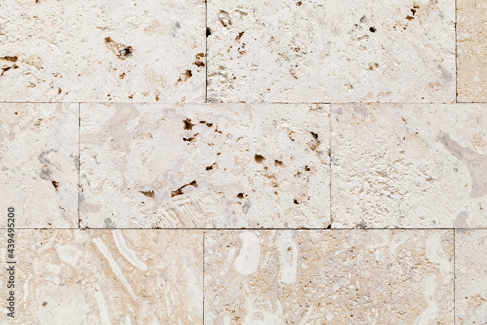 Stone wall made of shelly limestone, texture Stock Photo | Adobe Stock