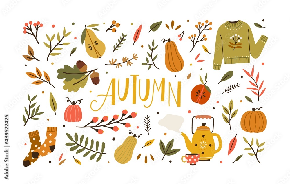 Autumn bundle of cute and cozy design elements. Set of fall twigs with ...