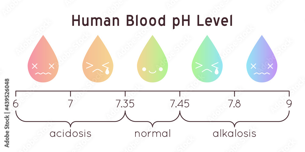 Human blood pH scale vector diagram. Stock Vector | Adobe Stock